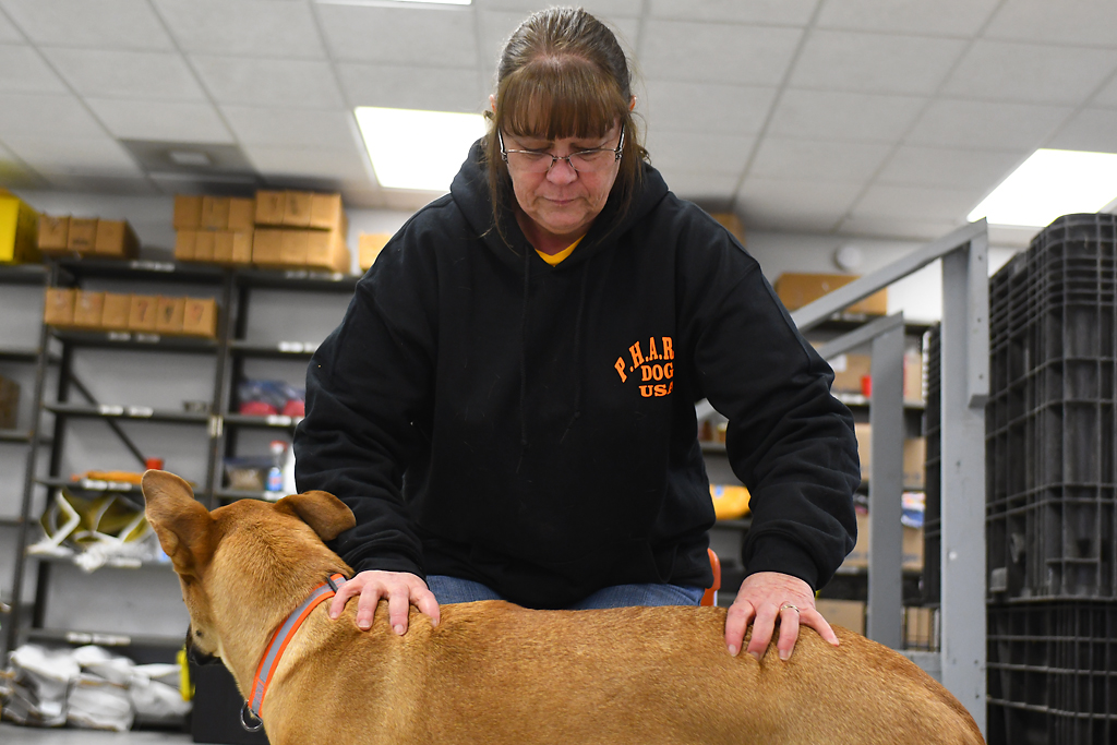 Service dogs for farmers