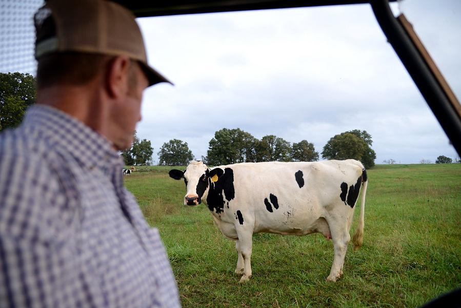 Milked Dry: Missouri's diminishing dairy industry at a crossroads